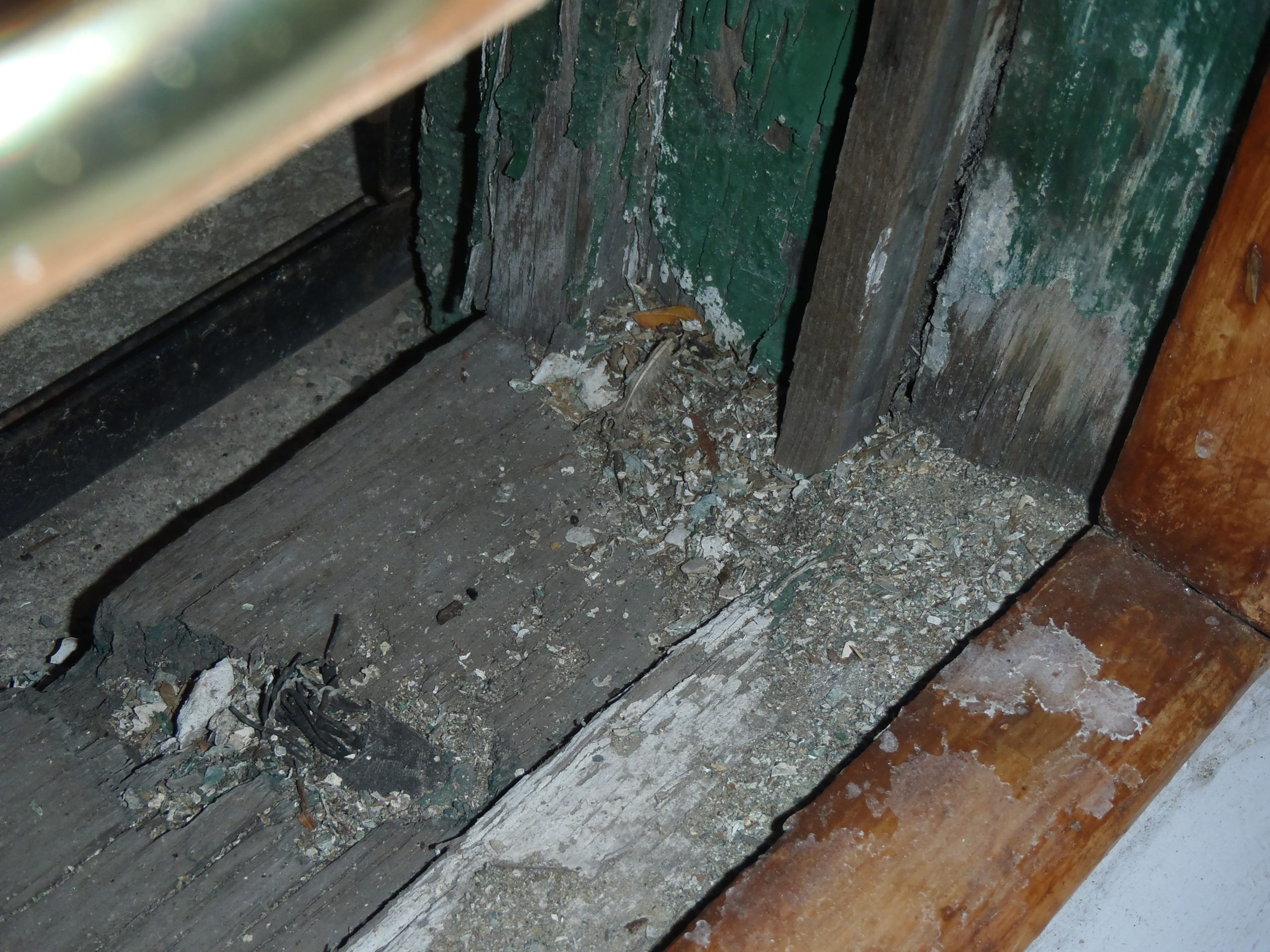 The How’s, Where’s and Why’s of Lead - WE ACT for Environmental Justice