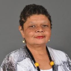 Leslie Fields - WE ACT for Environmental Justice