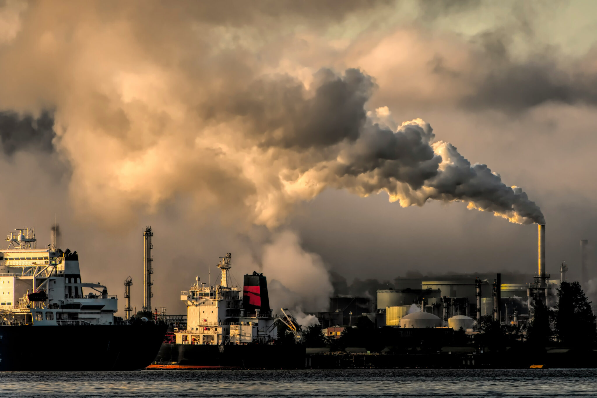 Climate Justice - WE ACT for Environmental Justice